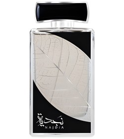 Nitro Red Intensely Dumont cologne - a fragrance for men 2025