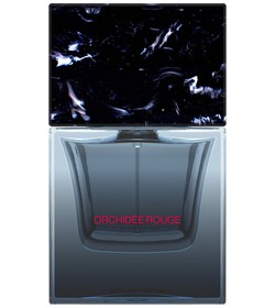 Red Sora Dora fragancia - una nuevo fragancia para Hombres y Mujeres 2024