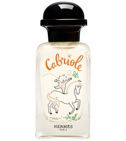 Fefé Dolce&Gabbana perfume - a new fragrance for women and men 2024