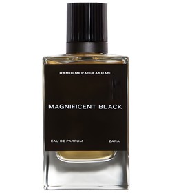 Sand Desert At Sunset Zara cologne - a fragrance for men 2023