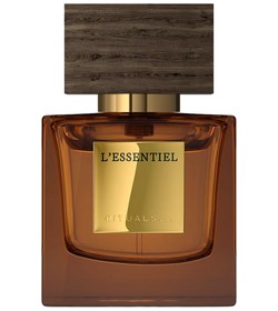 Vanilla Collection 02: Unique, Hypnotic, Seductive Zara cologne - a new fragrance for men 2025