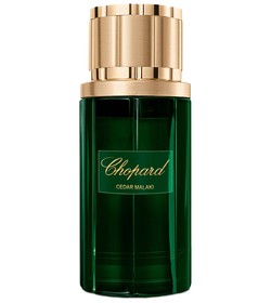 Volcano Reef Perfumes perfume - a new fragrance for women and men 2024