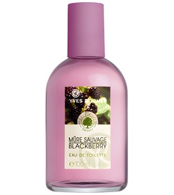 No.6 Milk Musk Arcadia perfume - a fragrance for women and men 2017