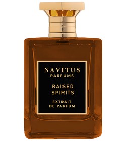 Infinite Love Andreea Rada perfume - a new fragrance for women and men 2024