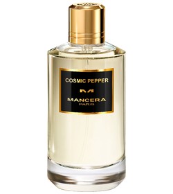 Geir Ness for Men Geir Ness cologne - a fragrance for men 2006