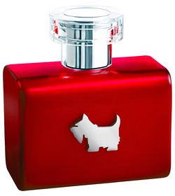 Terrier Blue Ferrioni Colonia - una fragancia para Hombres