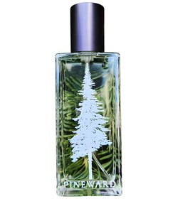 Pine Tree perfume ingredient, Pine Tree fragrance and essential oils ...