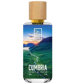 Money perfume ingredient, Money fragrance and essential oils