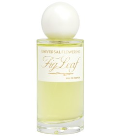 Fig Leaf perfume ingredient, Fig Leaf fragrance and essential oils ...