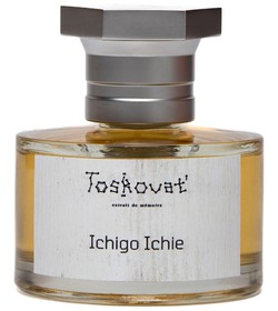 Inexcusable Evil Toskovat' fragancia - una fragancia para Hombres y ...