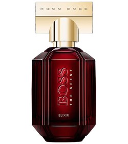 Rouge Pierre Balmain perfume - a new fragrance for women and men 2024