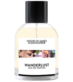 Thirty Three Ex Idolo perfume - a fragrance for women and men 2013