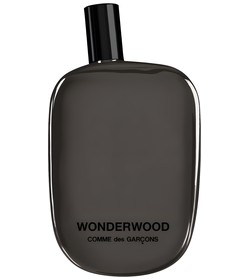 Moncler pour Homme Moncler Colonia - una fragancia para Hombres 2021