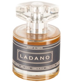 Tramonte Botanicae fragancia - una nuevo fragancia para Hombres y ...