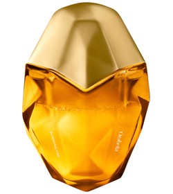 Retrospect Merit perfume - a new fragrance for women 2024