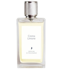 Chelsea Morning Lush perfume - a new fragrance for women and men 2024