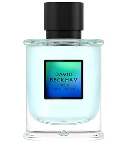 Pine Tree perfume ingredient, Pine Tree fragrance and essential oils ...