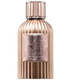 Dream The Maker perfume - a new fragrance for women and men 2024