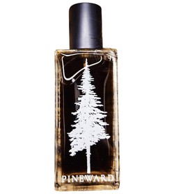 Gingerbread Delight Dove perfume - a new fragrance for women 2025