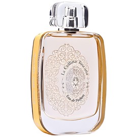 Star Anise perfume ingredient, Star Anise fragrance and essential oils ...