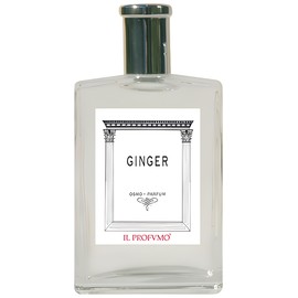 Ginger perfume ingredient, Ginger fragrance and essential oils Zingiber ...