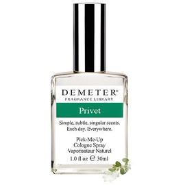 Privet perfume ingredient, Privet fragrance and essential oils Ligustrum