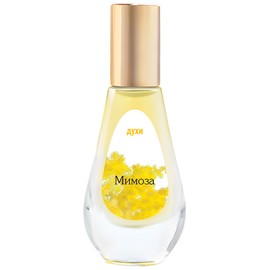 Mimosa perfume ingredient, Mimosa fragrance and essential oils Acacia ...