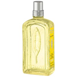 Lemon Verbena perfume ingredient, Lemon Verbena fragrance and essential ...