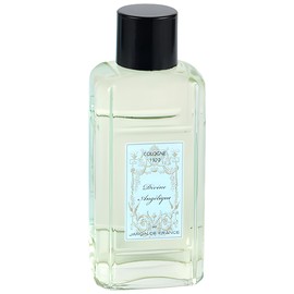 Angelica perfume ingredient, Angelica fragrance and essential oils ...