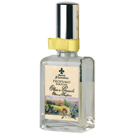 Olive perfume ingredient, Olive fragrance and essential oils Olea europaea