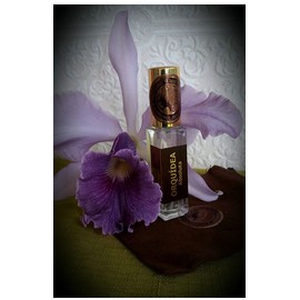 Lichen perfume ingredient, Lichen fragrance and essential oils