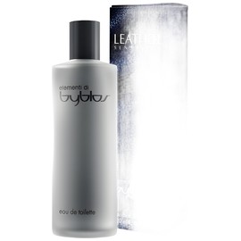 Fern perfume ingredient, Fern fragrance and essential oils Pteridophyta