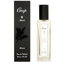 Acacia perfume ingredient, Acacia fragrance and essential oils Acacia ...