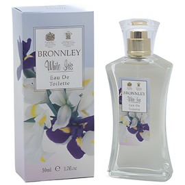 Aldehydes perfume ingredient, Aldehydes fragrance and essential oils