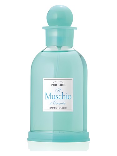 Muschio Eau de Toilette Perlier perfume - a new fragrance for women 2024