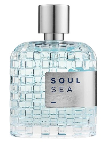 Soul Sea LPDO perfume - a new fragrance for women and men 2024