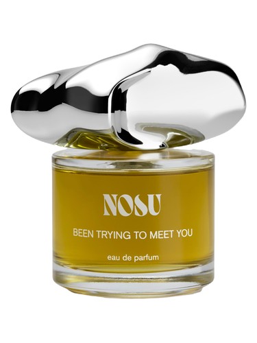 Been Trying To Meet You Nosu perfume - a novo fragrância Compartilhável ...