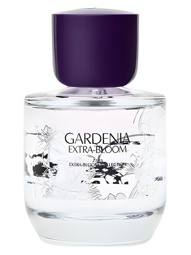 Gardenia Extra-Bloom Zara perfume - a novo fragrância Feminino 2025