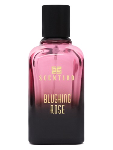 Blushing Rose Scentido сүрчиг - a сүрчиг эрэгтэй эмэгтэй