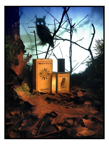 Night Watcher Solstice Scents fragancia - una fragancia para Hombres y ...