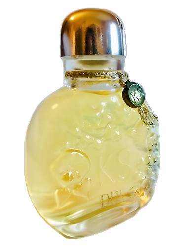 KS Due Ken Scott perfume - a fragrance for women