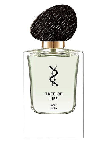 Holy Herb Tree Of Life cologne - a new fragrance for men 2023