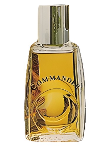 Commander Avon Cologne - un parfum pour homme