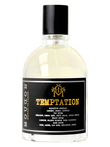 Temptation Moudon perfume - a new fragrance for women and men 2022
