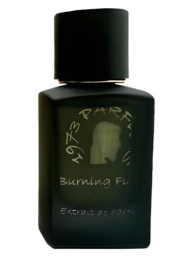 Burning Flame 1973 perfume - a new fragrance for women and men 2023