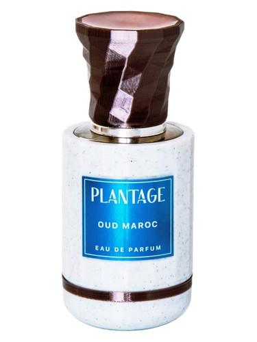 Oud Maroc Plantage perfume - a new fragrance for women and men 2023