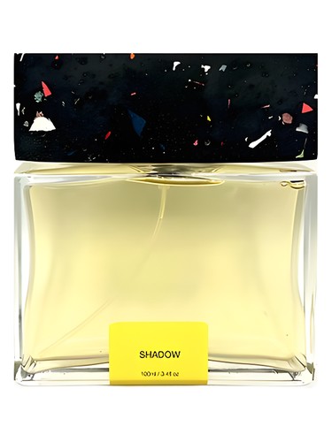Shadow Pictor Parfum perfume - a new fragrance for women and men 2023