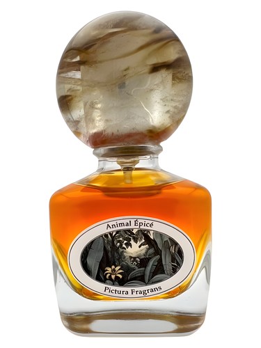 Animal Épicé Pictura Fragrans parfum - un nouveau parfum pour homme et ...