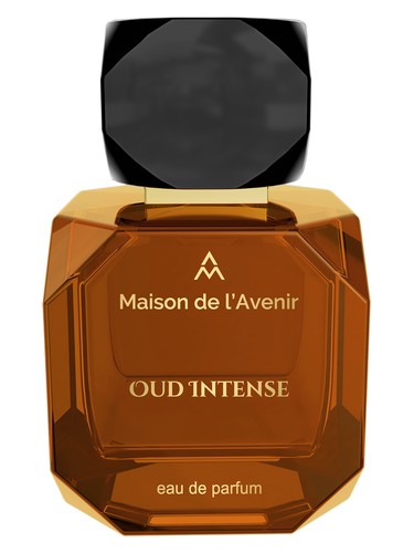 Oud Intense Maison de l'Avenir Parfum - ein neues Parfum für Frauen und Männer 2024