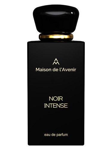 Noir Intense Maison de l'Avenir perfume - a new fragrance for women and men 2024